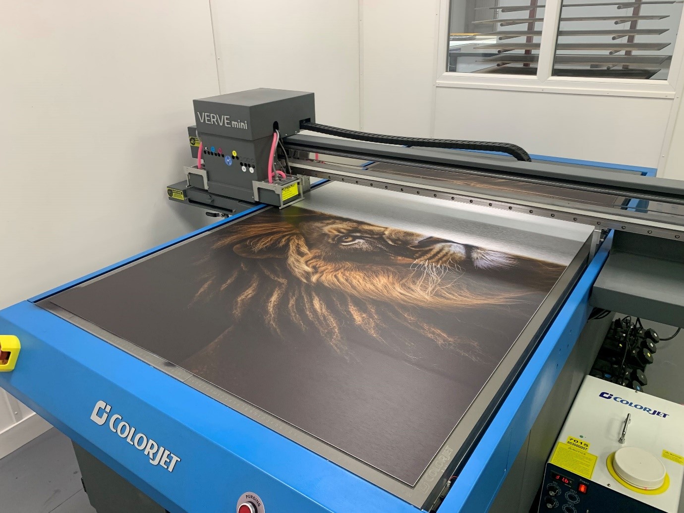 India's largest manufacturer of Digital Textile Inkjet Printer